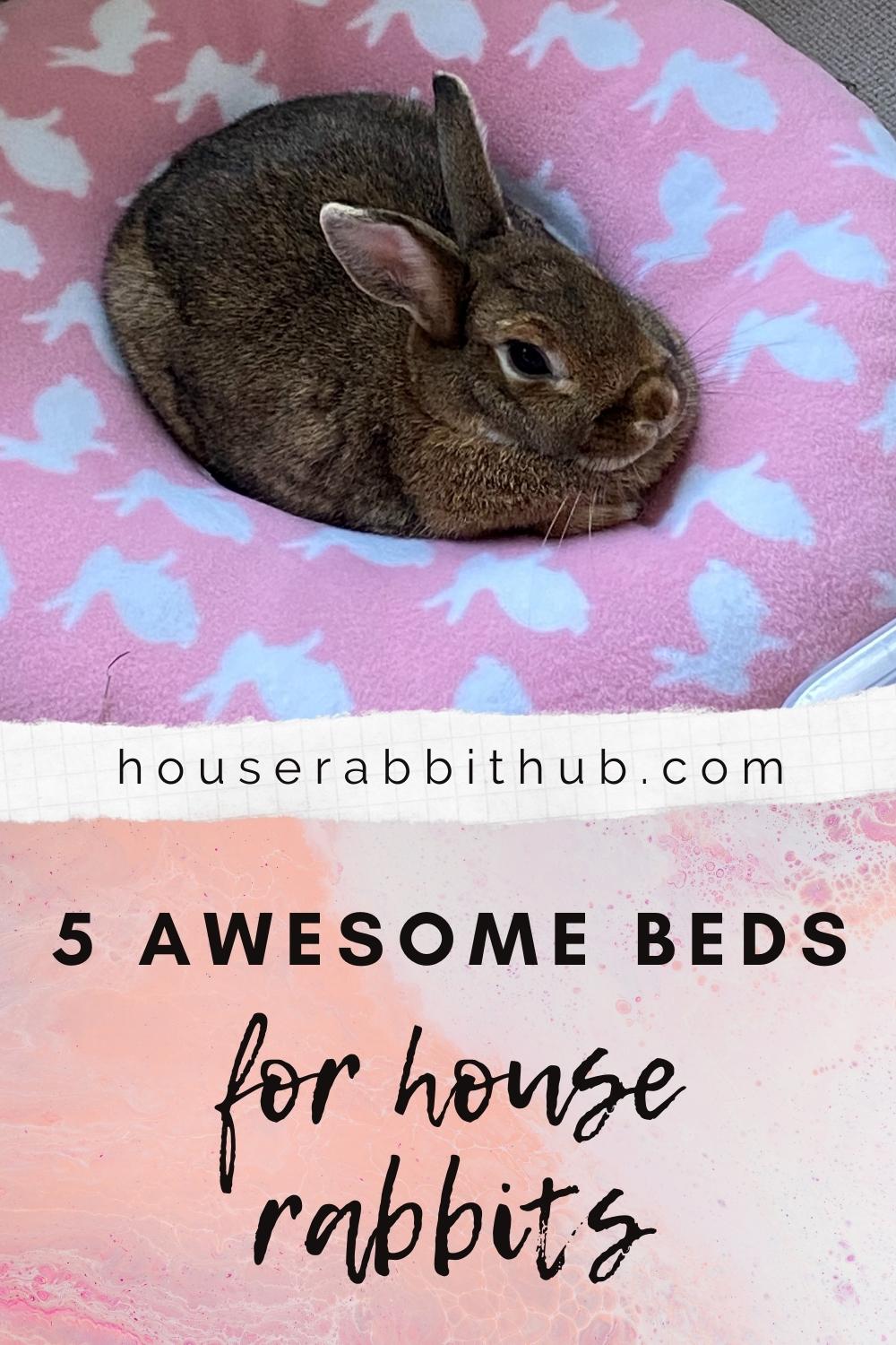 5 Awesome Beds For House Rabbits - House Rabbit Hub