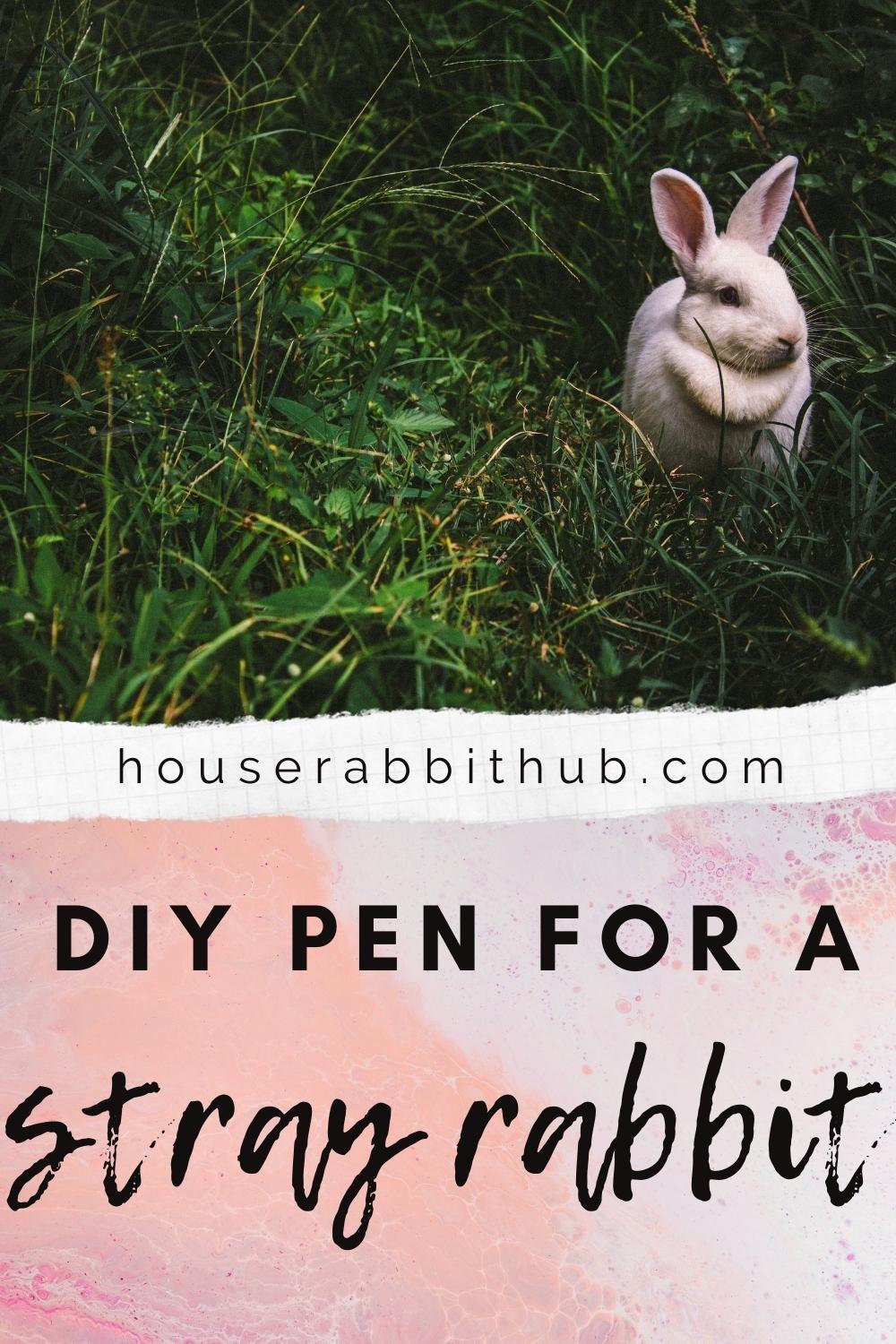 DIY Pen For A Stray Rabbit - House Rabbit Hub
